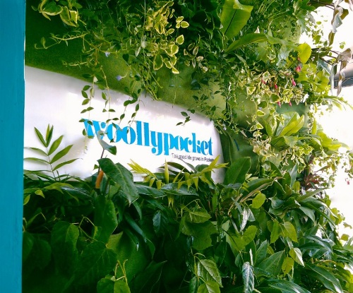 WoollyPocket Perú | Peru | Home Solution